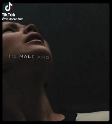 Pin by 𝓪𝓶𝓫𝓮𝓻 𝓶𝓪𝓵𝓯𝓸𝔂 ˏˋ on tiktok photos vids Hunger games movies