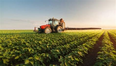 AGRICULTURA INTENSIVA EXPLOTACIÓN AGROPECUARIA