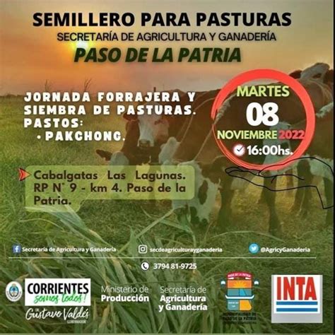Atención productores ganaderos de Paso de la Patria Municipalidad de