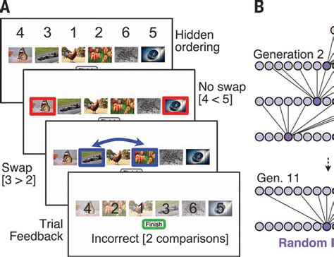 complex cognitive algorithms preserved by selective social learning in experimental populations