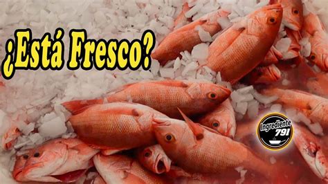 No Más Errores APRENDE a ESCOGER PESCADO FRESCO con Estos Consejos