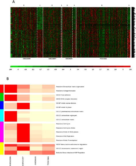 A Hierarchical Clustering Heat Map Of Degs From Wild Type Idh