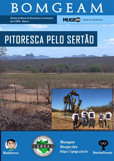 Gmga Grupo De Mineralogia E Geoqu Mica Aplicada Bomgeam N Mero