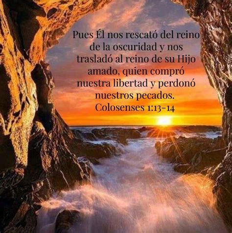 Colossians 1 13 14 Colosenses Frases De Salmos Corazon Texto