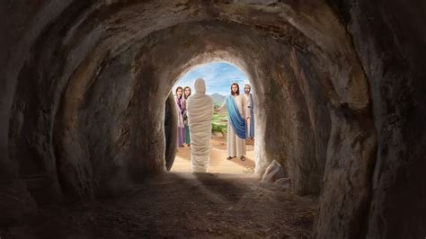 Milagres de Jesus Cristo entendendo a vontade de Deus através da