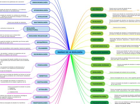 Cuadros sinópticos de las ramas de la biología Cuadro Comparativo