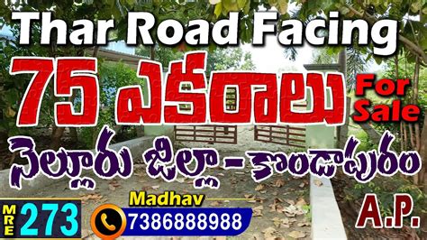 Kondapur Am Nellore Dt Agriculture Land
