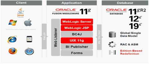 Oracle Database 19c With EBS R12 Everything You Must Know