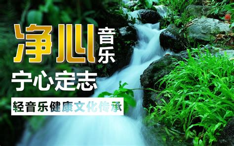 潺潺流水古筝竹笛纯音乐沁人心脾好听的舒缓轻音乐 五音本草 五音本草 哔哩哔哩视频