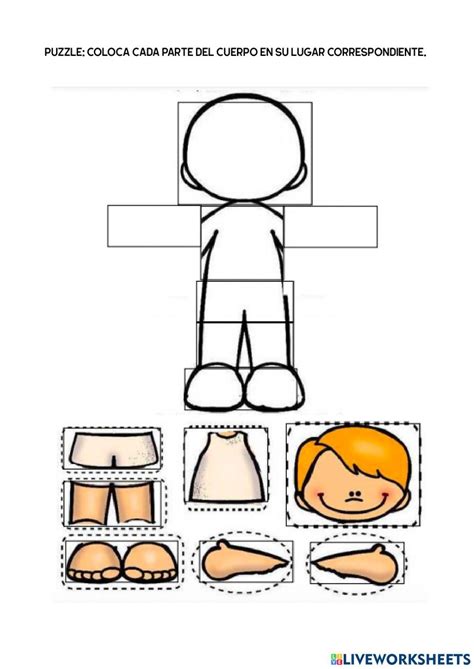 Ficha Online De Las Partes Del Cuerpo Para O A Os Puedes Hacer