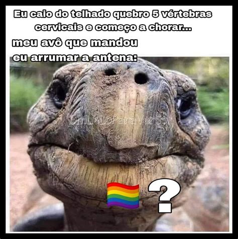 Foda Hein V Meme By Lunileloparaverso Memedroid