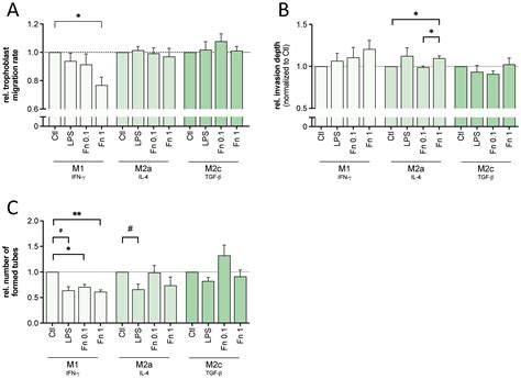 Frontiers Less Is More Low Amount Of Fusobacterium Nucleatum