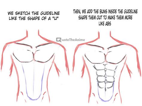 Details 69 Anime Abs Reference Super Hot Incdgdbentre