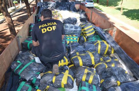 DOF Apreende Sete Toneladas De Maconha O Progresso