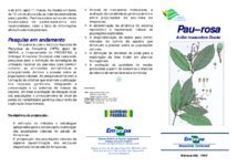 Pau Rosa Aniba Rosaeodora Ducke Portal Embrapa
