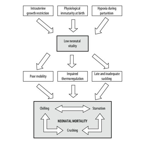 1 The Role Of Neonatal Piglet Vitality In Preweaning Mortality