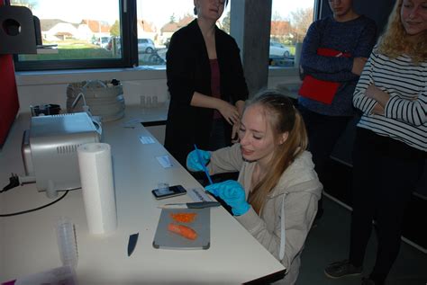 Wahlpflichtfach Biologie Biohist Links Und Infos F R Sch Ler
