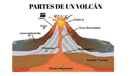 Partes De Un Volc N By Alejandra Sierra Ni O On Prezi