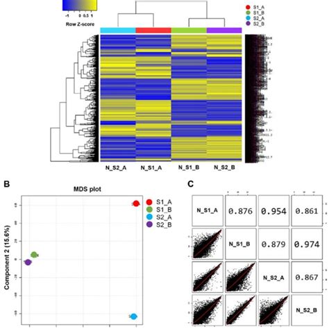 gene expression microarray analysis a heat map analysis of download scientific diagram