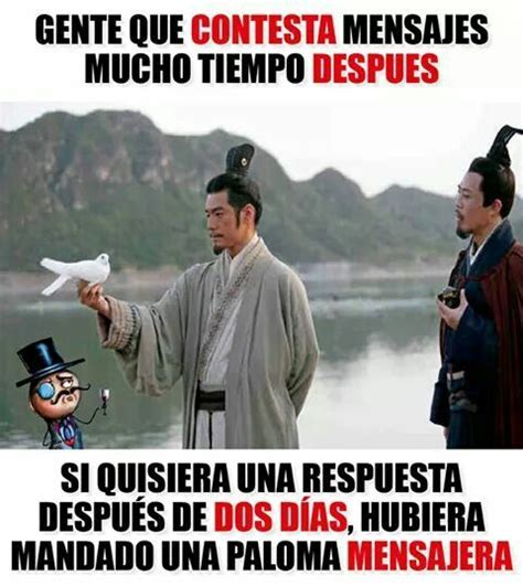 Pin De Carlos En Divertido Palomas Mensajeras Mensajes Mensajero