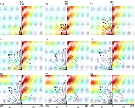 figure s2 relaxation like behaviour of the gap gene damped oscillator download scientific