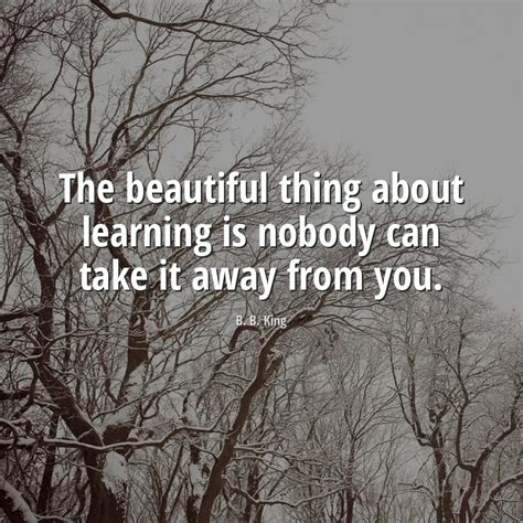 B B King Quote The Beautiful Thing About Learning Is Nobody Can Take