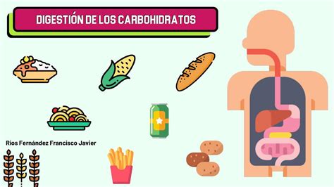 Resúmenes de Digestión de carbohidratos Descarga apuntes de Digestión