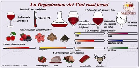 in profondità implicare vitamina tipi di vini rossi Maturo Applicazione
