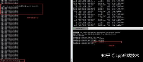 【linux】关于进程的理解、状态、优先级和进程切换 知乎