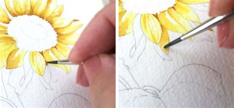 Dipingere Un Girasole Con Gli Aqua Drop Schmincke Momarte Watercolor