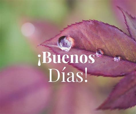 Total 94 Imagen Imagenes De Hola Buen Dia Abzlocal Mx