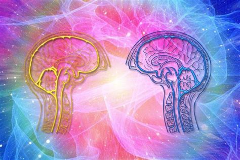 Qué es la terapia Gestalt y sus principios Y sus Principios básicos