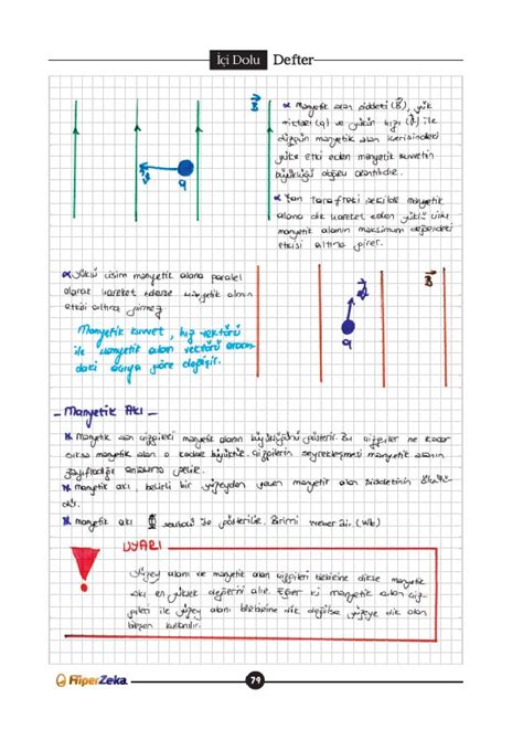 10 Sınıf Fizik Manyetik Akı Çalışma Kağıdı Derslig