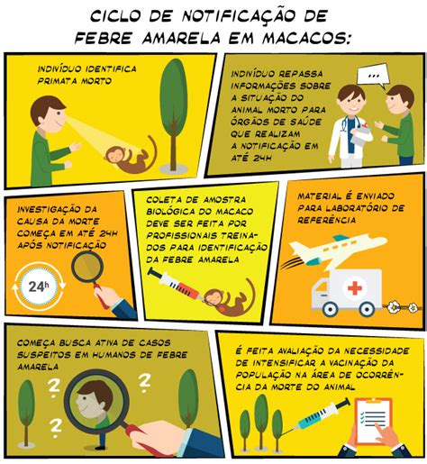 Não matem os macacos Eles são aliados da saúde no combate à Febre