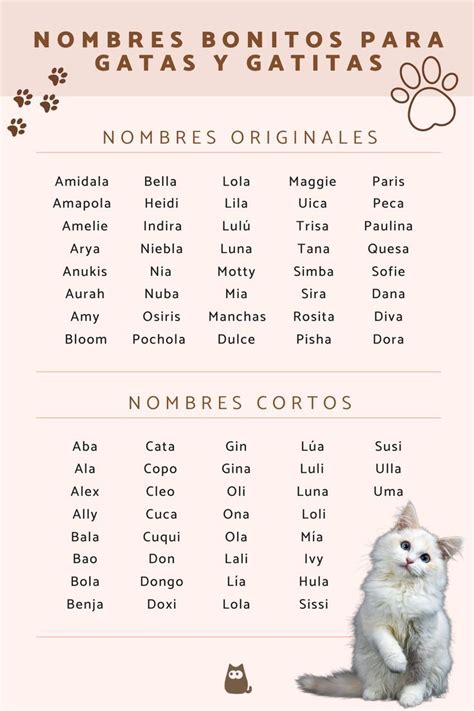 Nombres Bonitos Para Gatas Y Gatitas Originales
