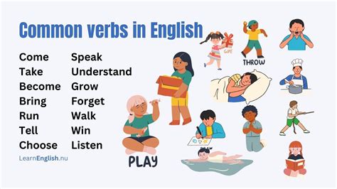 50 Most Common English Verbs List In English With Picture
