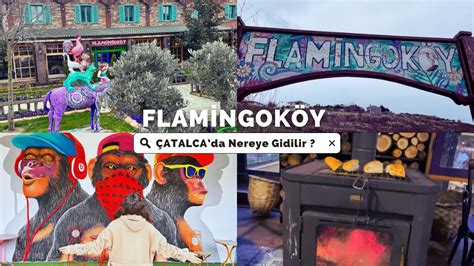 FLAMİNGOKÖY Çatalcada Nereye Gidilir Doğa Severler Çocuklu