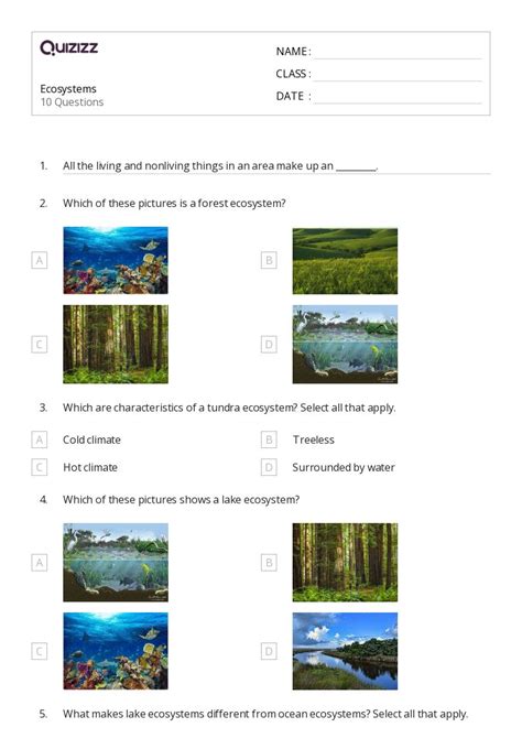 Ecosystems Worksheets For St Grade On Quizizz Free Printable