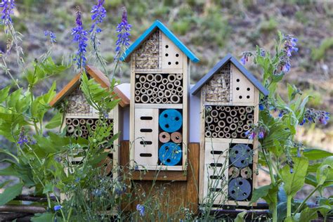 Comment Fabriquer Une Maison A Insecte Ventana Blog