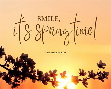 650 Catchy Spring Slogans And Phrases Generator Guide Thebrandboy