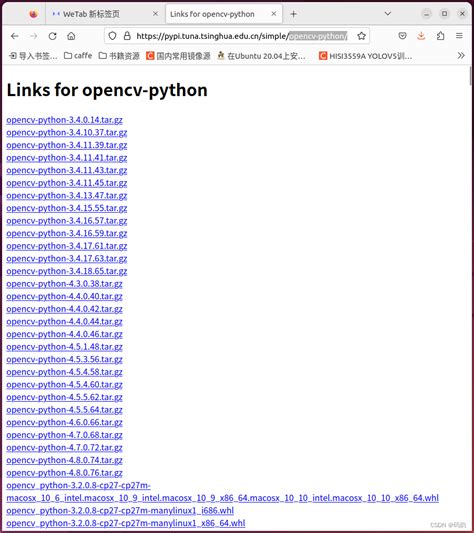 【环境搭建】（一）python环境配置离线包下载 版本最全 python 离线包下载arm版本包 csdn博客