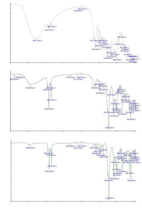 Fourier Transform Infrared Spectroscopic Spectra Of Allium Cepa A