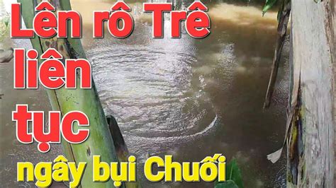 Đụng ổ Rô Trê ngay bụi Chuối ăn liên tục ngây giờ nước rúc YouTube