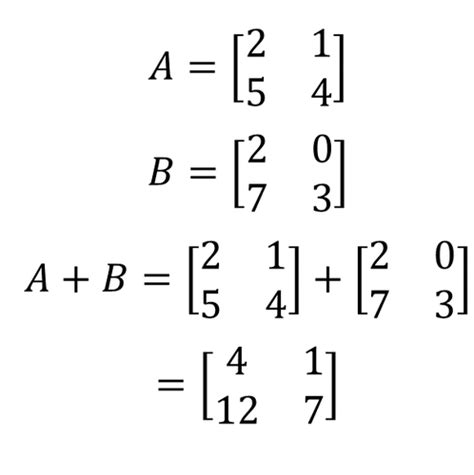 matrices flashcards quizlet