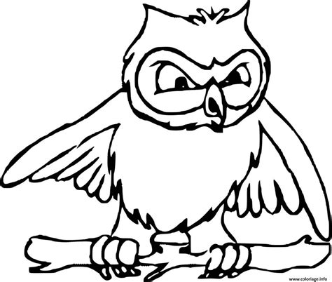 Coloriage Dessin D Un Chouette Sur Une Branche JeColorie