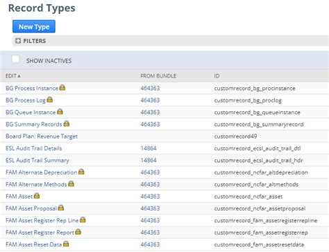 Mastering Netsuite Custom Records A Comprehensive Guide
