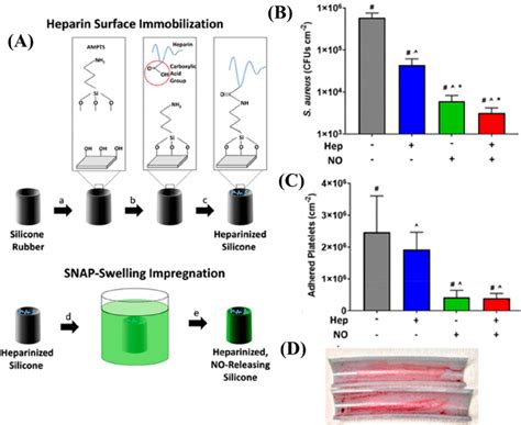 A Schematic Demonstration For Hep Heparin Immobilization On SR