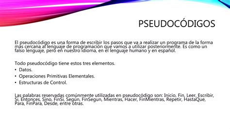 Ramas de programación pptx