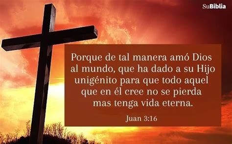 Juan 3 16 Porque de tal manera amó Dios al mundo Biblia