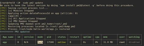 install pm2 node js process manager on rhel 8 centos 8 rocky linux 8 computingforgeeks